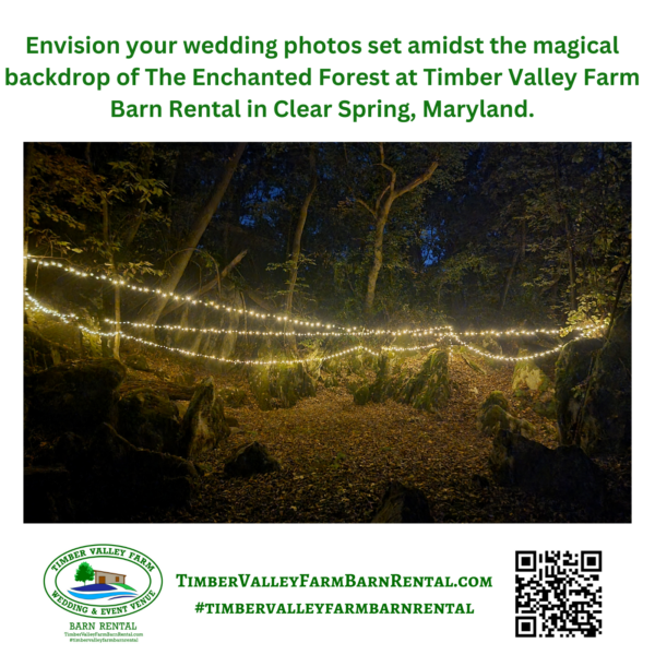 The Enchanted Forest: Your Dream Rustic Farm Wedding Venue Clear Spring ...