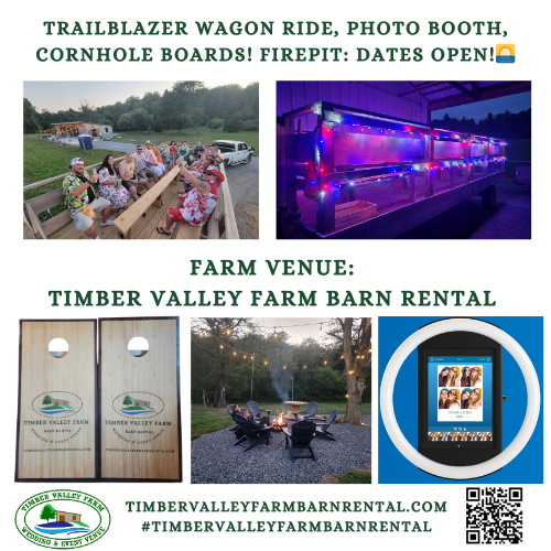 Master Your # 1 Engagement Wedding Timeline & Book Timber Valley Farm Now!
